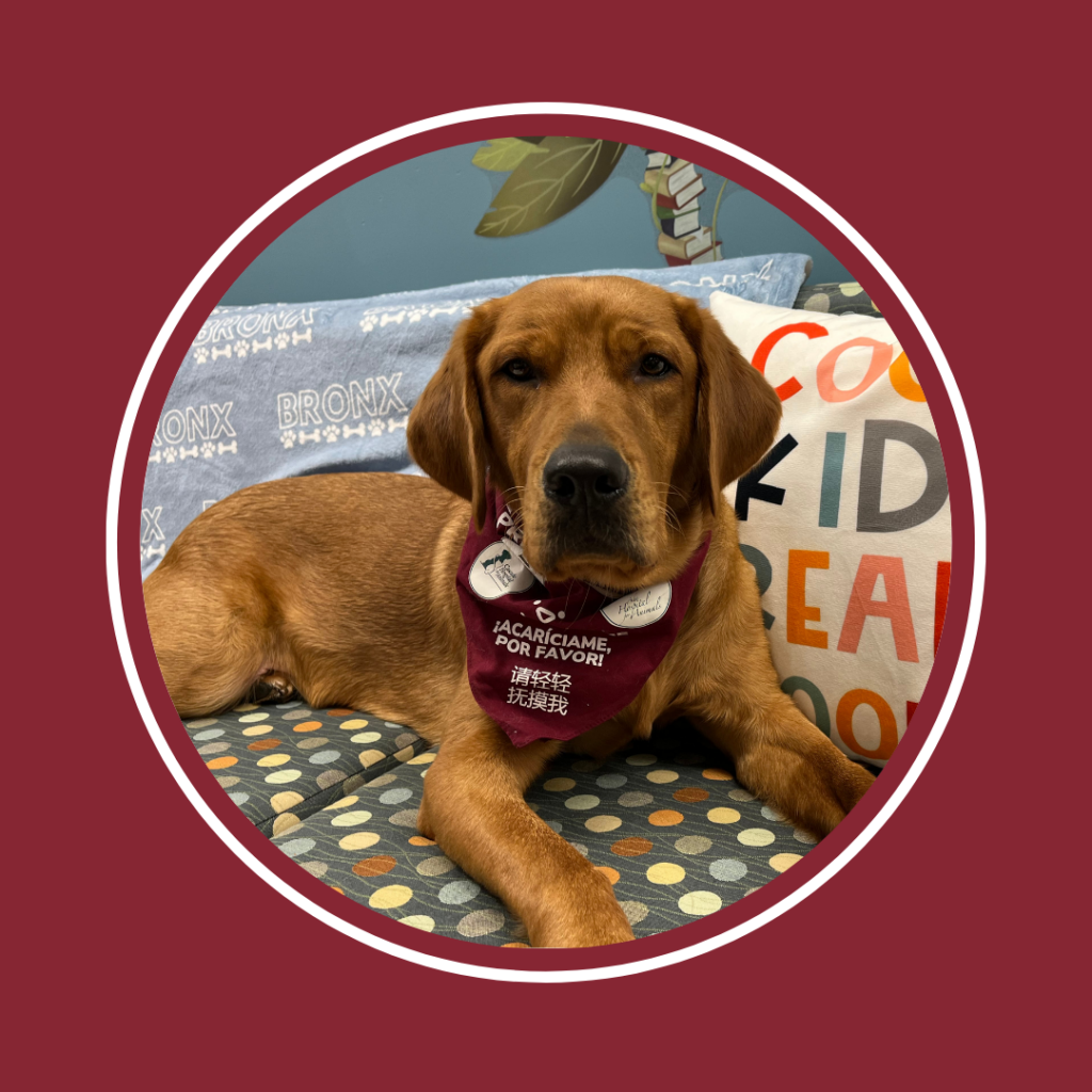 School Support Dogs: FHPS PRIDE Pups - Forest Hills Public Schools